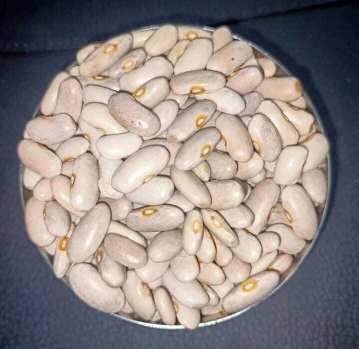 Hashil White Rajma